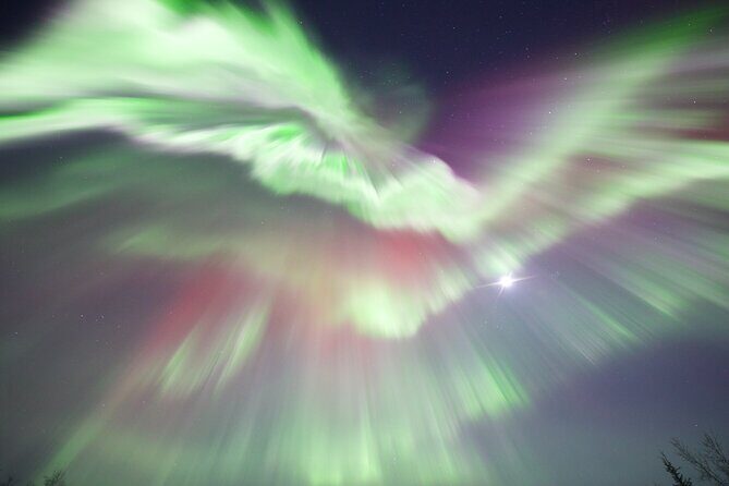 1 Day Shared Tour Arctic Circle and Aurora Viewing in Alaska - What Will You Do on the Tour?