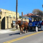 #1 Historical Horse Drawn Carriage Tour - The Experience: What Sets It Apart