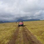 1-Hour Buggy Adventure in Icelandic Nature - The Highlights: Waterfalls and Scenic Drives