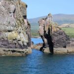 1 hour Dingle Bay Cliff Tour - Why This Tour Would Suit You