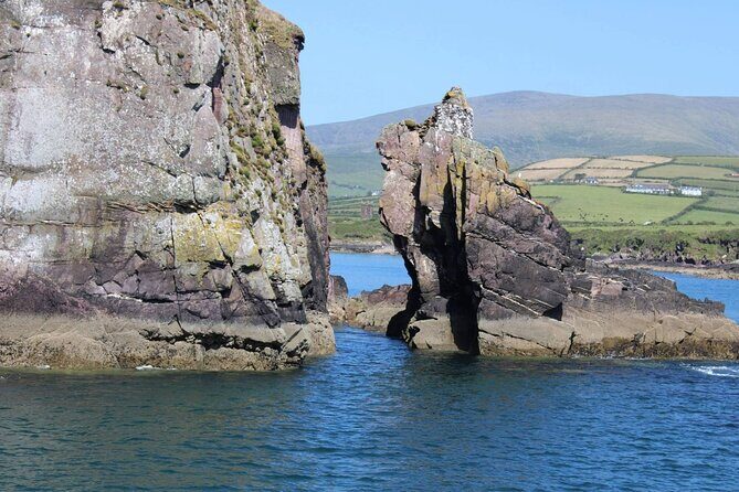 1 hour Dingle Bay Cliff Tour - Why This Tour Would Suit You