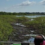 1 Hour Everglades Airboat Tour Central Florida - Why This Tour Suits Different Types of Travelers