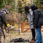 1 Hour Fall Sled Dog Experience in Two Rivers - Who Should Consider This Tour?