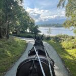 1 Hour Guided Carriage Tour in Killarney National Park - Why Travelers Love It