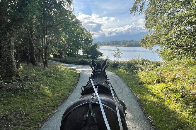 1 Hour Guided Carriage Tour in Killarney National Park - Why Travelers Love It
