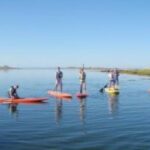 1 Hour Guided SUP/Kayak Tour in Pelican Bay at Fort Myers Beach - Practical Tips for Your Paddle