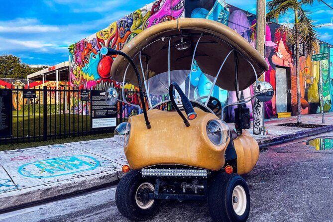1 Hour Lady Buggy Art Tour Experience in Wynwood - Cruising Wynwood: A Joyful, Photo-Heavy Ride