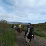 1+ hour Private Horse riding tour from Reykjavík/Mosfellsbær - The Ride: What to Expect