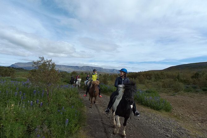 1+ hour Private Horse riding tour from Reykjavík/Mosfellsbær - The Ride: What to Expect