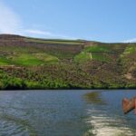 1-Hour Rabelo Boat Trip in Pinhão - Practical Details and What to Expect