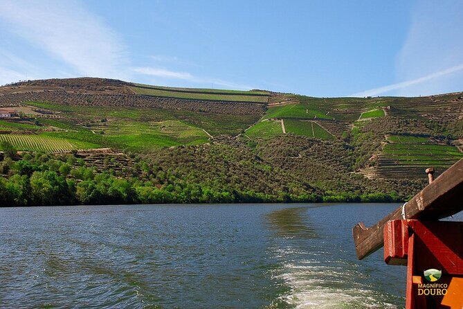 1-Hour Rabelo Boat Trip in Pinhão - Practical Details and What to Expect