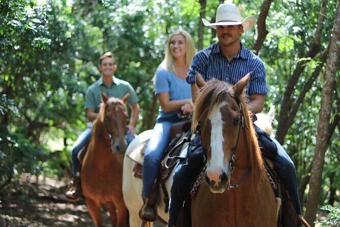 1 Hour Scenic Horseback Ride - The Experience: What to Expect