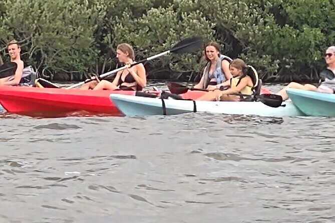 1-Hour Single Kayak Rental with Manatee & Dolphin sightings - Practical Details for Your Day on the Water