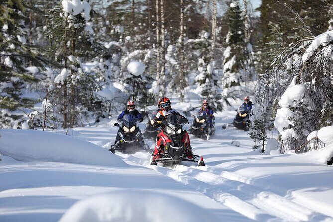 1-Hour Snowmobile Safari Adventure in Rovaniemi - Introduction: What Makes This Snowmobile Tour Stand Out?
