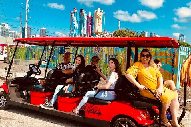 1 Hour WYNWOOD BUGGIES tour - Who Should Consider This Tour?