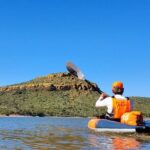 1 Person Inflatable Kayak Full-Day Rental - Transporting is required - Breaking Down the Itinerary and Experience