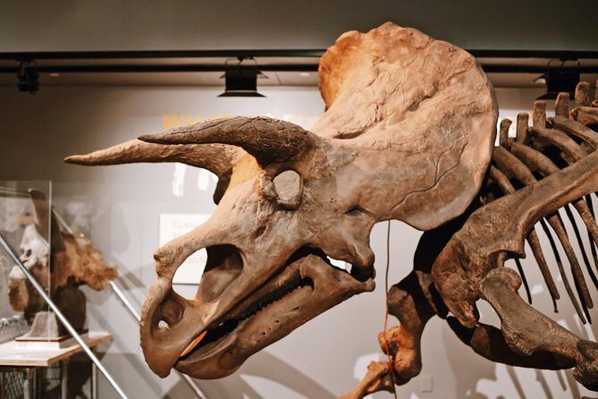 #1 Smithsonian Natural History + American History Museum Tour - The Practicalities