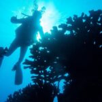 1 Tank Discover Scuba at Koloa Landing with No Experience needed - Key Points