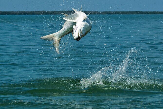 #1 Top Rated - Calm Water Inshore Fishing Charter In Your Area - Practical Details and Tips