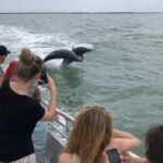 10,000 Islands Excursion Small-Group 3.5 hour Dolphin & Shelling Boat Tour - Detailed Breakdown of the Itinerary