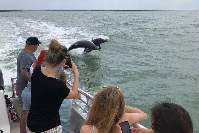 10,000 Islands Excursion Small-Group 3.5 hour Dolphin & Shelling Boat Tour - Detailed Breakdown of the Itinerary