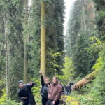 13 km hiking tour from Kutaisi to Borjomi - Why the Tour Offers Great Value