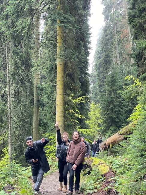 13 km hiking tour from Kutaisi to Borjomi - Why the Tour Offers Great Value