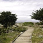 17-Mile Drive Self-Guided Audio Tour from Monterey & Carmel - What You Can Expect: Quality and Practicalities