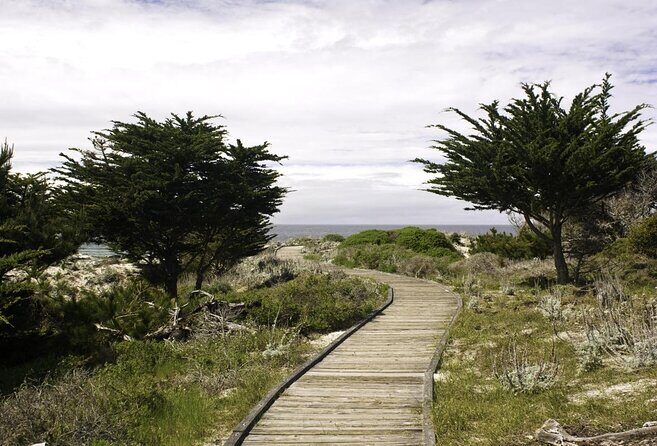 17-Mile Drive Self-Guided Audio Tour from Monterey & Carmel - What You Can Expect: Quality and Practicalities