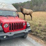 2.5-3 hour Smoky Mountain Cherokee Blue Ridge Parkway Safari tour - Personal Stories from Travelers
