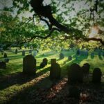 2.5-Hour Salem History & Sightseeing Guided Walking Tour - Salem Witch Trials Memorial and Downtown Highlights