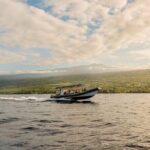 2.5-Hour Whale Watching On A 41' Super-Raft - Authentic Feedback and Highlights