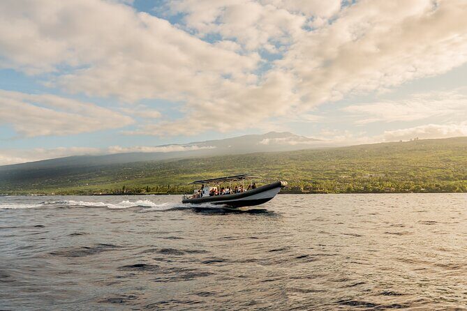 2.5-Hour Whale Watching On A 41' Super-Raft - Authentic Feedback and Highlights