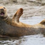 2.5 Hours SightSeeing Tour in Beaulieu River - Frequently Asked Questions