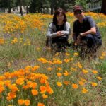 2-Day Private Yosemite Tour: Waterfalls, Sequoias and Glacier Pt - Transportation and Comfort