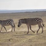 2 Days 1 Night Taita Hills - Exploring the Itinerary in Detail