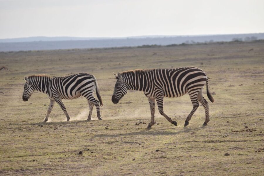 2 Days 1 Night Taita Hills - Exploring the Itinerary in Detail