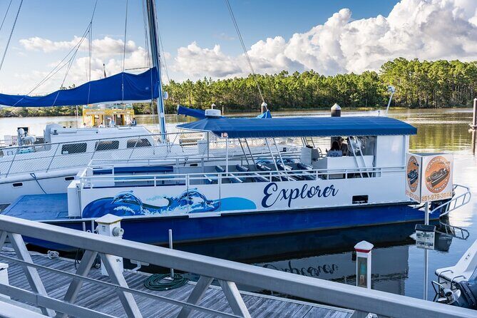 2-Hour Dolphin and Nature Eco Tour from Orange Beach - Who Should Book This Tour?