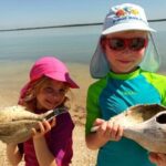 2 Hour Dolphin, Birding and Shelling Tour - A Detailed Look at the Experience