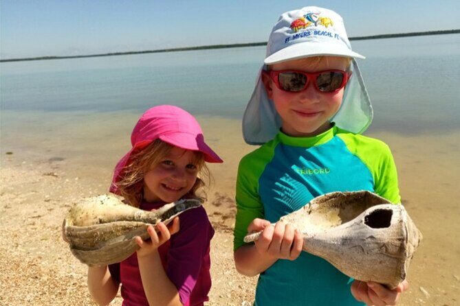 2 Hour Dolphin, Birding and Shelling Tour - A Detailed Look at the Experience