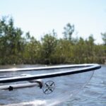 2-Hour Glass Bottom Guided Eco Tour in Flagler County-Small-group - The Value of the Tour: Cost and What It Gets You