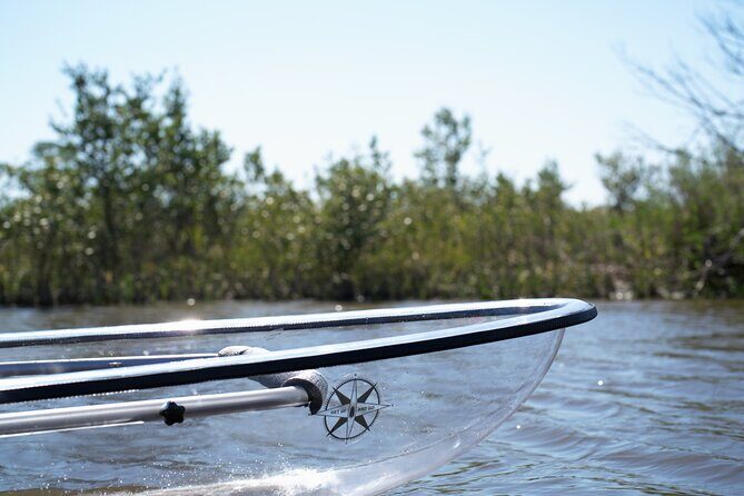 2-Hour Glass Bottom Guided Eco Tour in Flagler County-Small-group - The Value of the Tour: Cost and What It Gets You