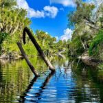 2 Hour Guided Stand Up Paddle Board Tour along Upper Manatee River - Final Thoughts: Is It Worth It?