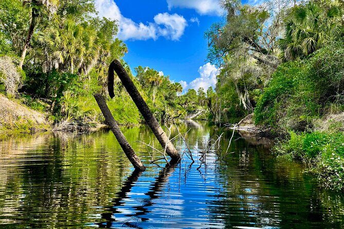 2 Hour Guided Stand Up Paddle Board Tour along Upper Manatee River - Final Thoughts: Is It Worth It?
