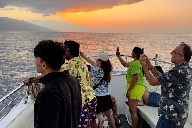 2 hour Lahaina Sunrise Whale Watch - What Travelers Say: Authentic Voices