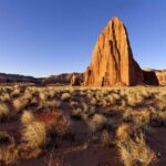 2-Hour Llama Hike - The Itinerary and What You’ll See