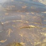 2 hour Moab Ebike Petroglyph Tour - FAQ