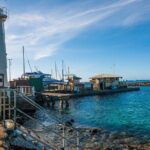 2-Hour Oahu Whale Watch from Ala Wai Harbor, Waikiki - Who Should Book This Tour?