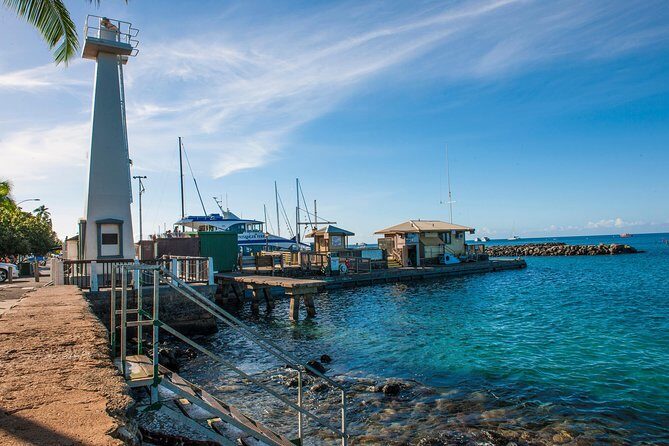 2-Hour Oahu Whale Watch from Ala Wai Harbor, Waikiki - Who Should Book This Tour?