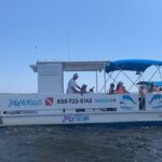 2 Hour Private Dolphin Cruise & Bay Tour - An In-Depth Look at the Experience